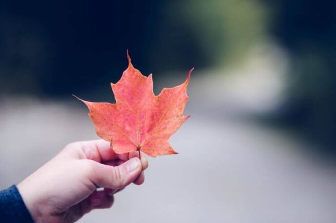One Breath at a Time - Script - Mindfulness Exercises